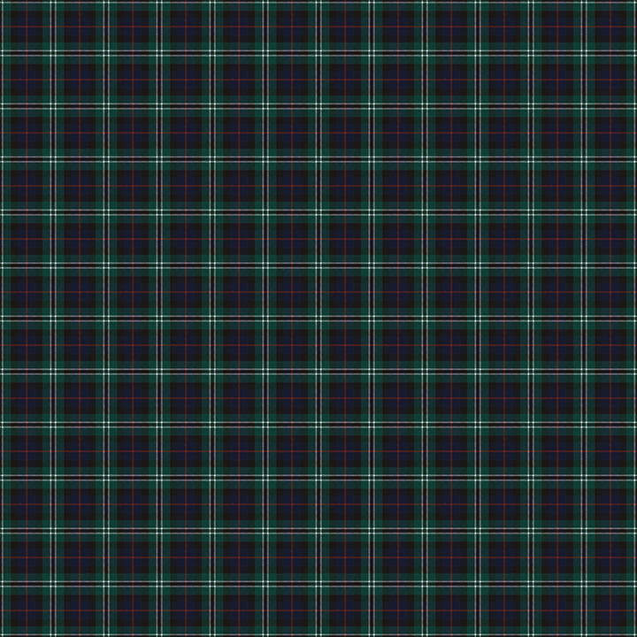 Kilt Vert – Manon Leblanc Design